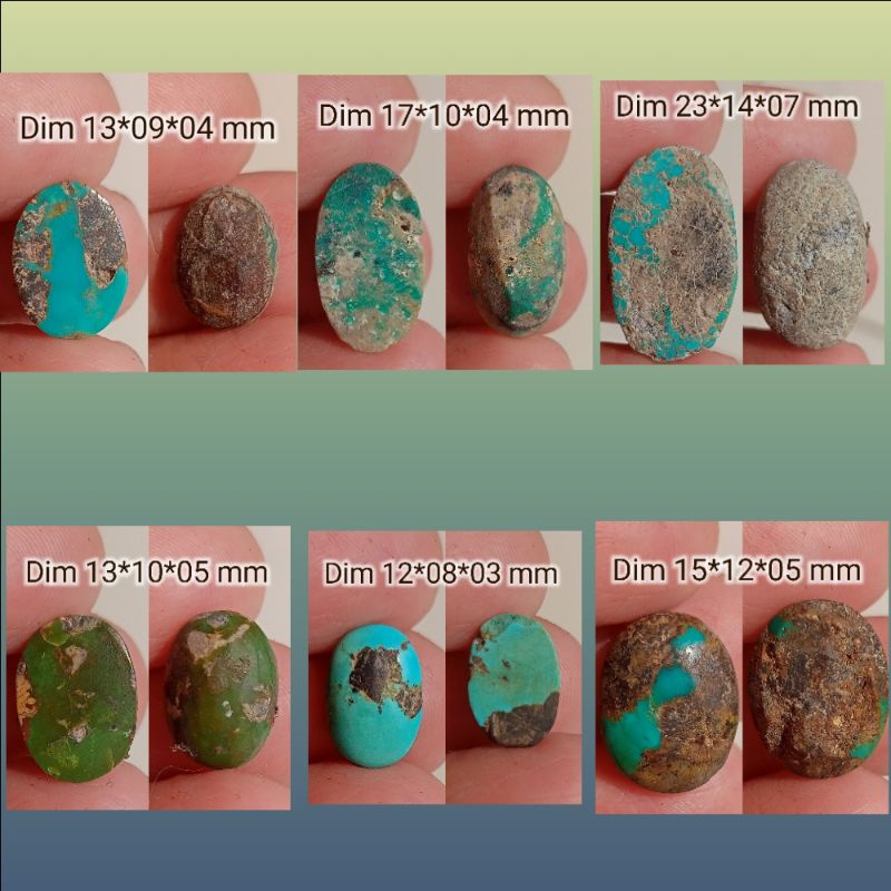 Jual natural pirus persi | Shopee Indonesia