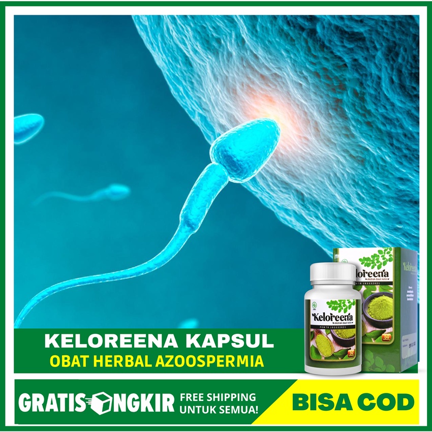 Jual Obat Azoospermia Kemandulan Pada Pria Sperma Kosong Air Mani ...