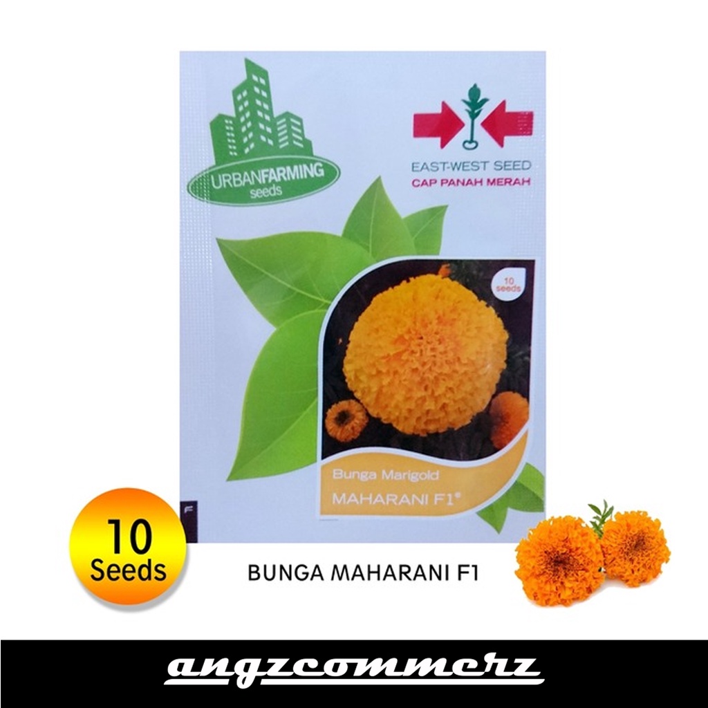 Jual PANAH MERAH Benih Tanaman Bunga Marigold Maharani 10 Biji | Shopee ...