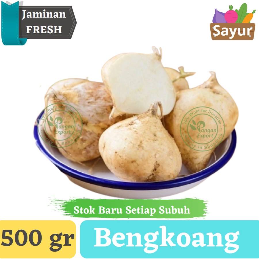 Jual Bengkuang Bengkoang Bangkuang Segar | Shopee Indonesia