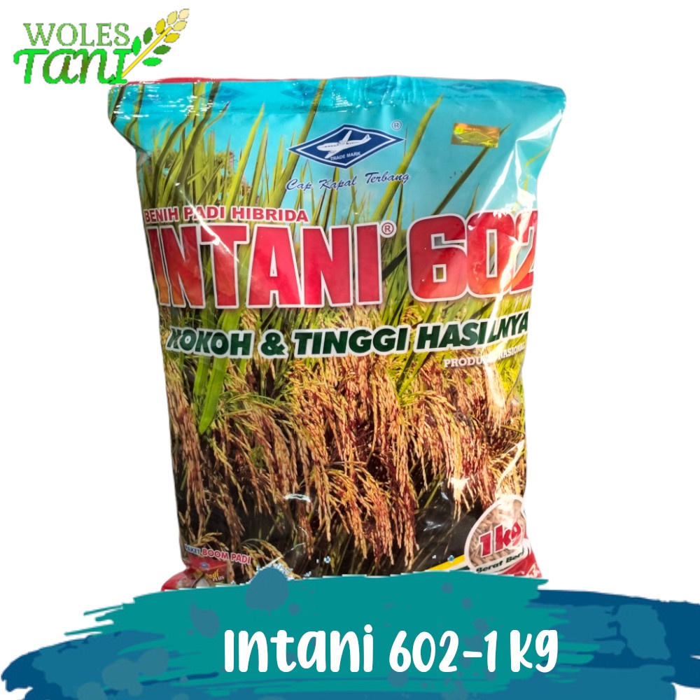 Jual Intani 602 1 Kg Benih Padi Hibrida Setara Mapan 05 | Shopee Indonesia