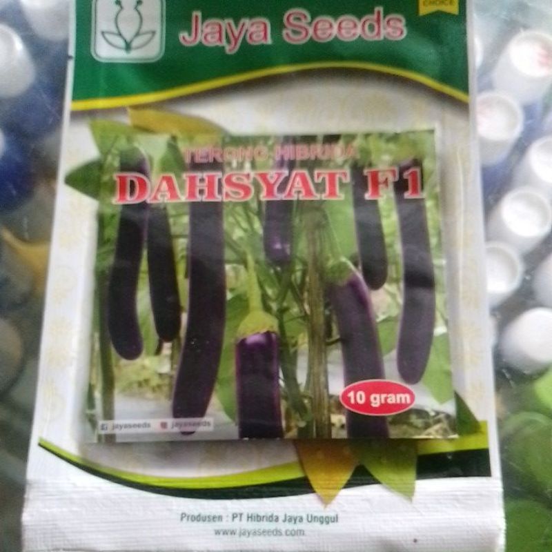 Jual Terong DAHSYAT F1 10 gr | Shopee Indonesia