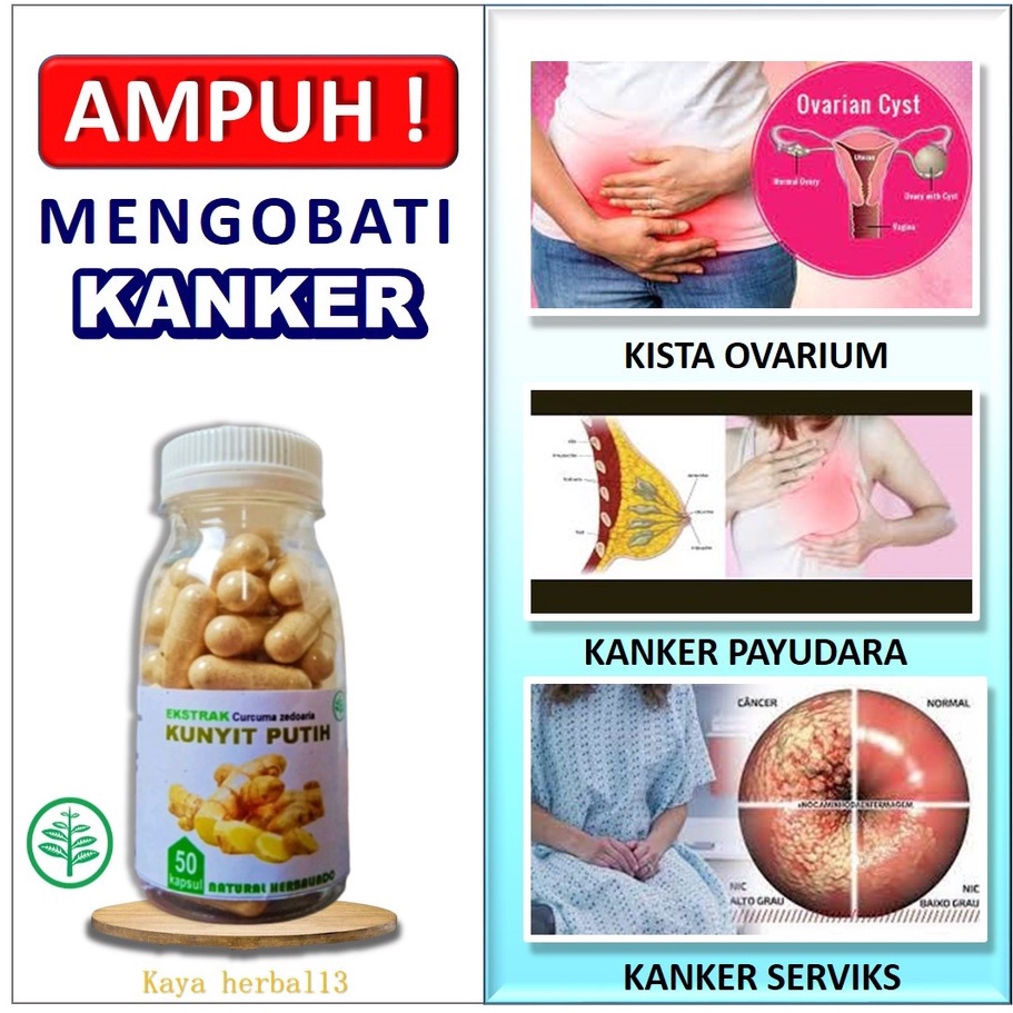 Jual Kunyit putih kapsul kunir putih herbal keputihan kanker serviks ...