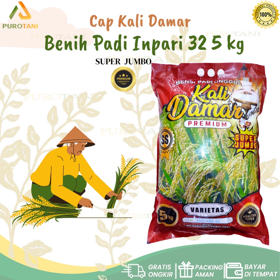 Jual Benih Padi Inpari 32 Premium 5 Kg Super Jumbo SS Kali Damar | Shopee Indonesia