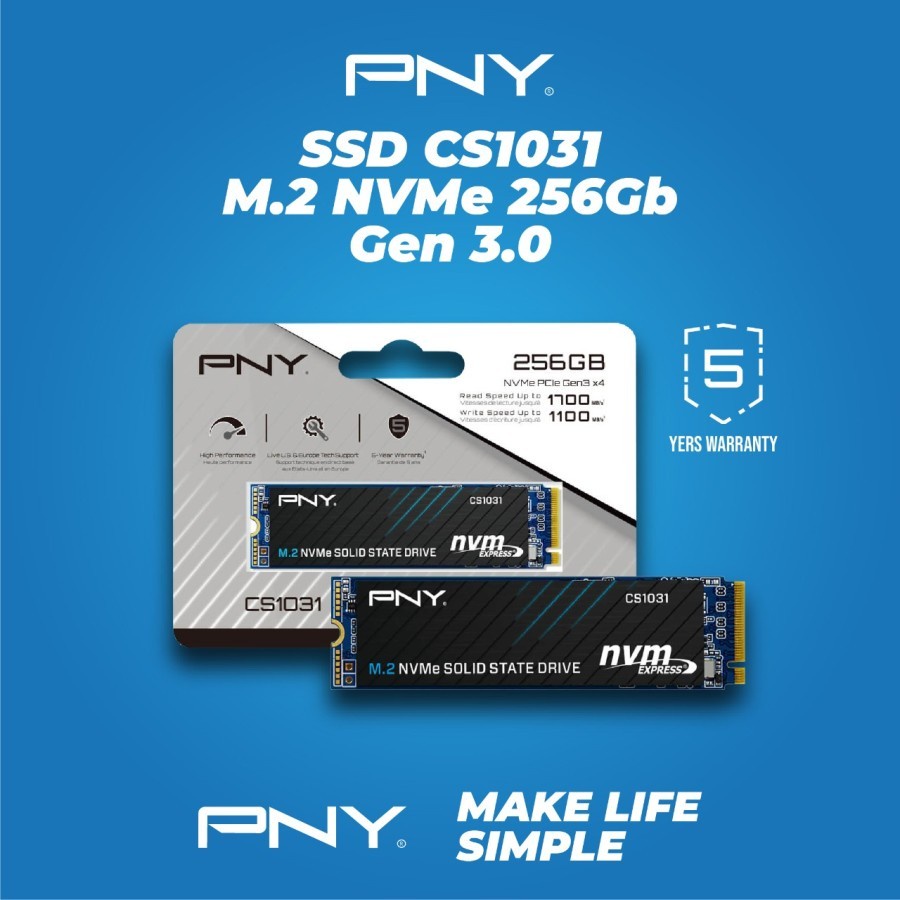 Jual SSD Nvme PNY 256GB CS1031 PCIE Gen 3x4 M.2 2280 | Shopee Indonesia