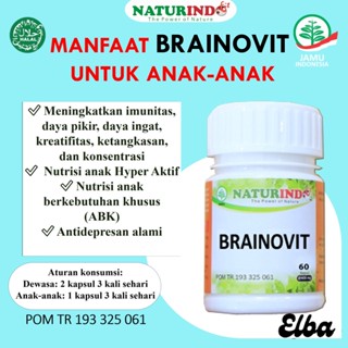 Jual Obat Herbal Vitamin Kecerdasan Otak Anak Dewasa Nutrisi Daya Ingat ...
