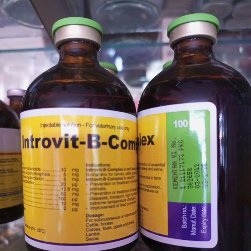 Jual Introvit b komplex by holland | Shopee Indonesia