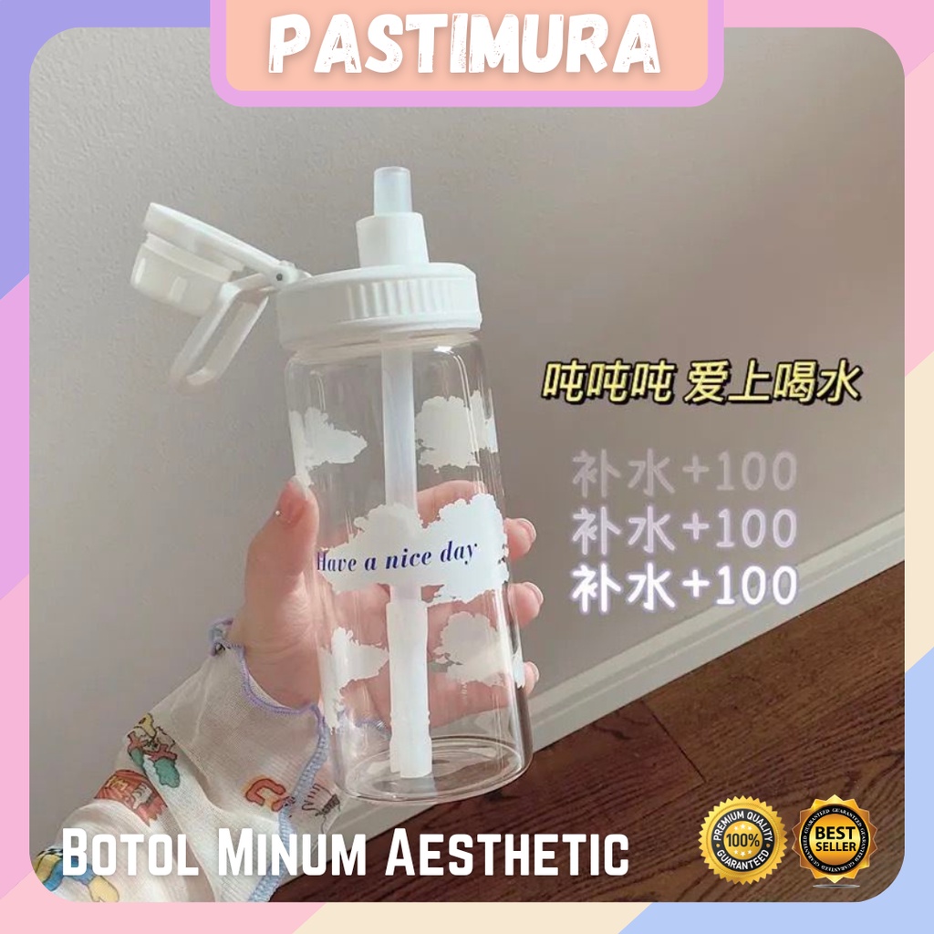 Jual [PSM] Botol Minum Aesthetic Water Bottle Termos Botol Doff Estetik ...