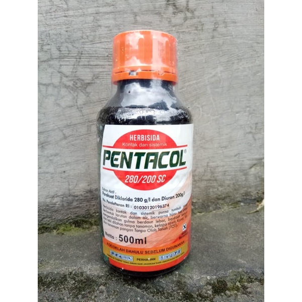 Jual Herbisida Pentacol 280/200 SC (Parakuat+Diuron) Mengatasi Lulangan ...