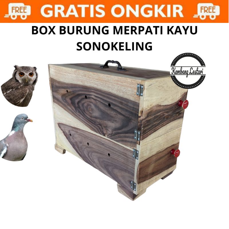 Jual BOX BAWA BURUNG MERPATI DARES KAKAK TUA KAYU SONOKELING | Shopee ...
