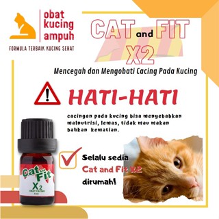 Jual OBAT KUCING AMPUH UNTUK CACING TAMBANG CAT AND FIT FREE SPET ...