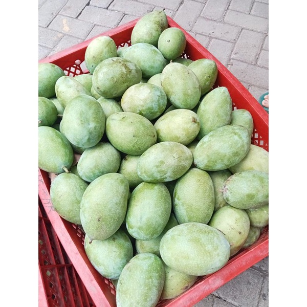 Jual Mangga Matang dan Mangga Muda 500 gram | Shopee Indonesia