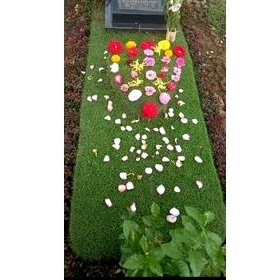 Jual Rumput Jepang ukuran Makam 1x2m Tanam | Shopee Indonesia