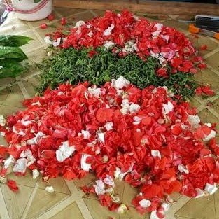 Jual Bunga Kembang 7 Rupa Bunga Asli & Segar | Shopee Indonesia