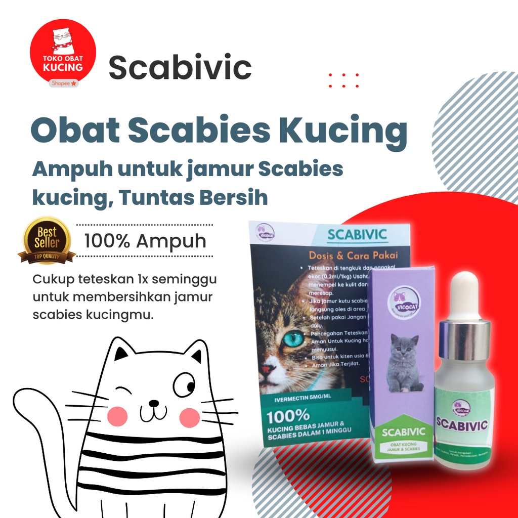 Jual Scabivic Obat Scabies dan Jamur Pada Kucing Terjamin AMPUH ...