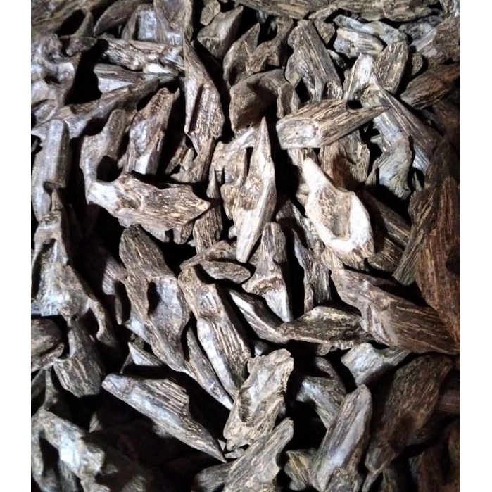 Jual Kayu Gaharu Super Kalimantan / Kayu Gaharu Asli / Agarwood ...