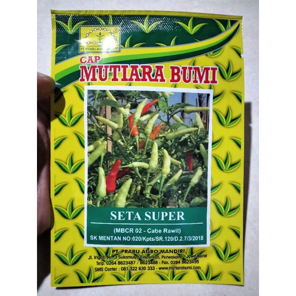 Jual Benih Cabe Rawit SETA SUPER 10 Gram - Bibit Cabai SETA SUPER - Crm ...