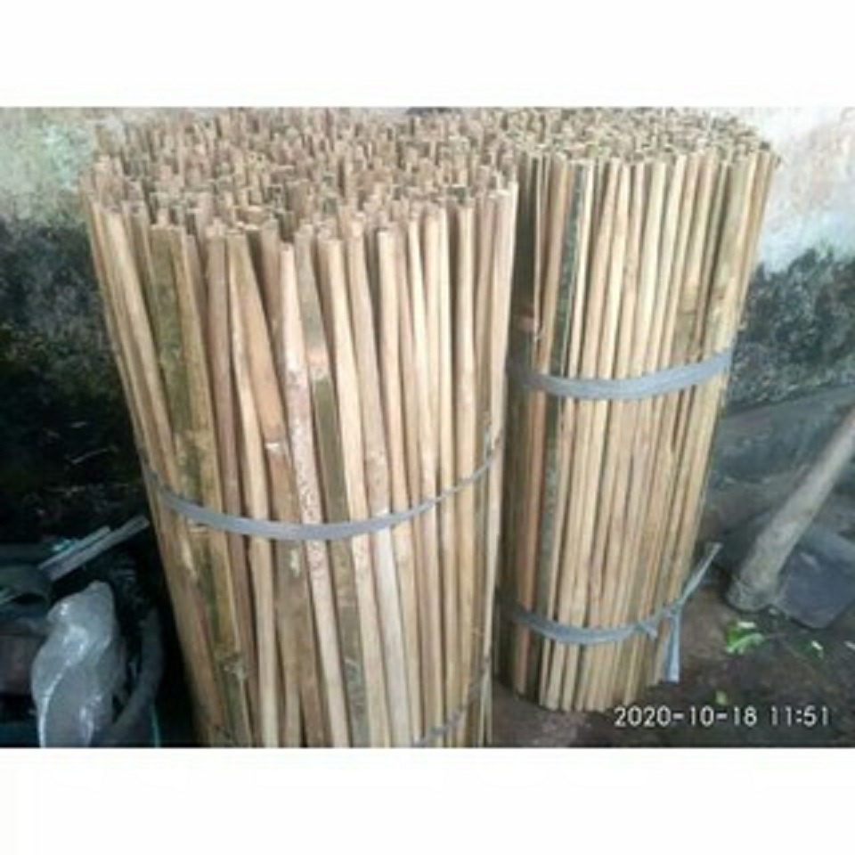 Jual BATANG BILAH BAMBU - UNTUK TANAMAN PAGAR PENYANGGA TANAMAN BAMBU ...