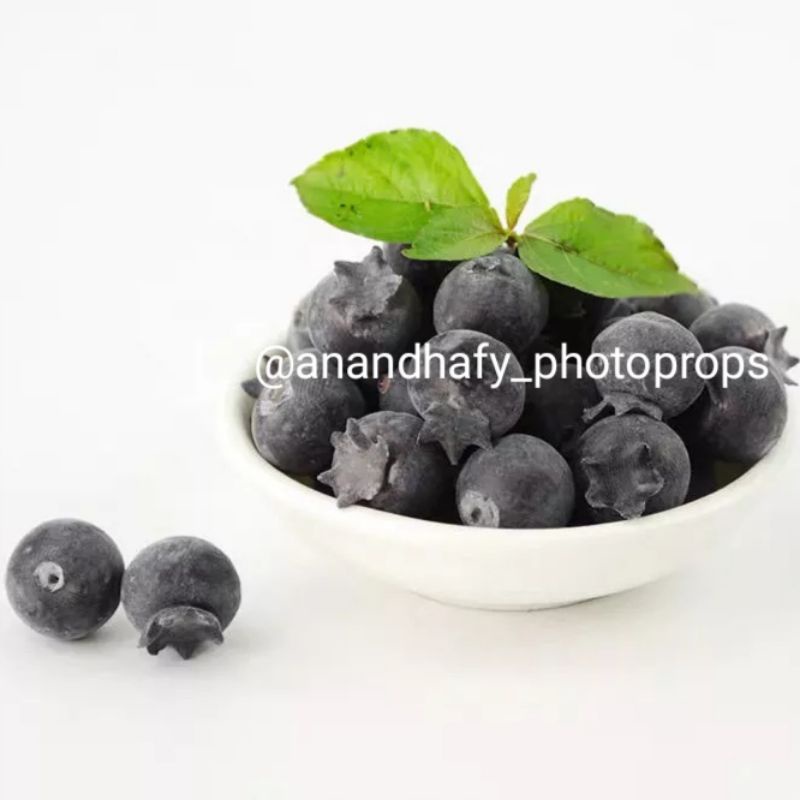 Jual BUAH BLUEBERRY BLUEBERI FRUIT BLUEBERRI BLUEBERY BERRY ARTIFICIAL ...