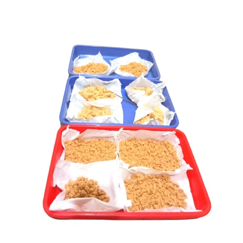 Jual Telur Maggot Bsf Indukan Lalat Super Unggul | Shopee Indonesia