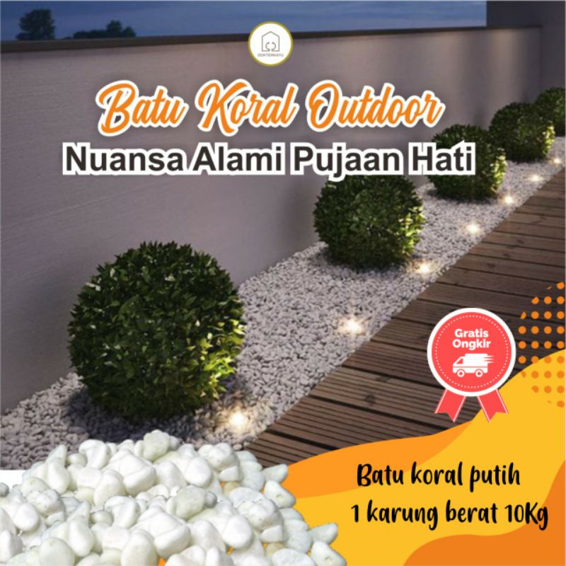 Jual Batu alam koral putih dekorasi hiasan taman | Shopee Indonesia