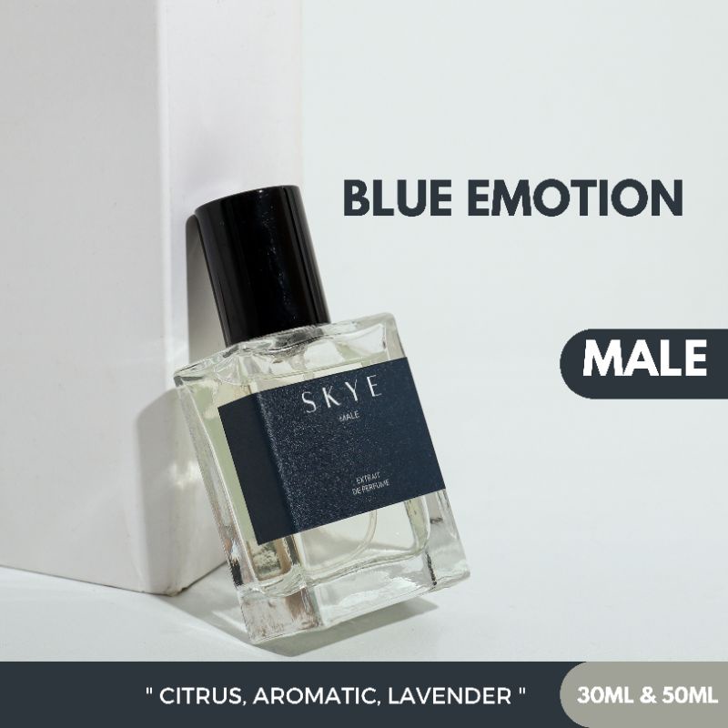 Jual SKYE PARFUM PERFUME INSPIRED - BLUE EMOTION SUPER PREMIUM - PARFUM ...