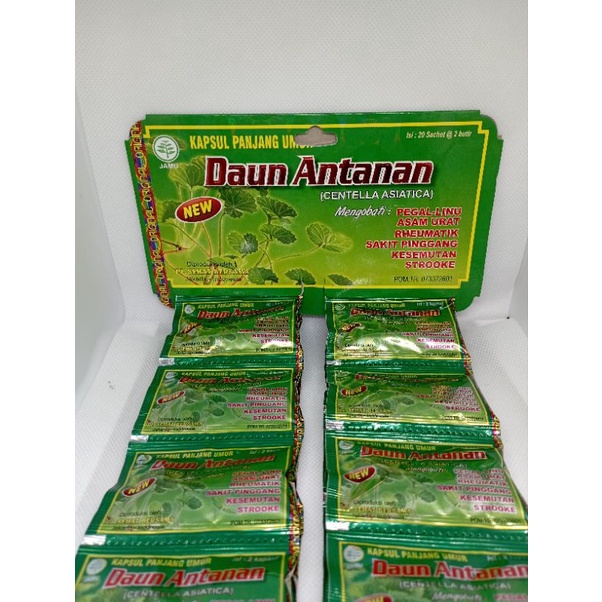 Jual KAPSUL DAUN ANTANAN ORIGINAL HERBAL BERKHASIAT SUPER 100% | Shopee ...