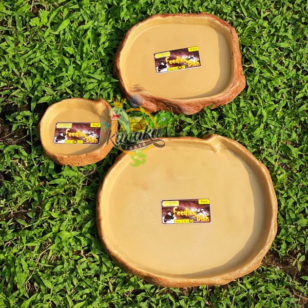 Jual Feeding dish rock M/Tempat makan sulcata/tempat makan kura kura ...