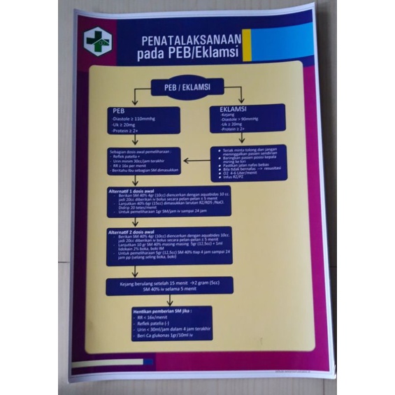 Jual Poster Penatalaksanaan pada PEB/Eklamsi Kode 28 | Shopee Indonesia
