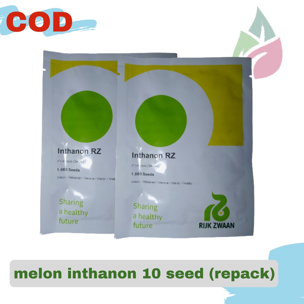 Jual Benih melon RZ inthanon 1000 seed asli kemasan pabrik F1 | Shopee ...