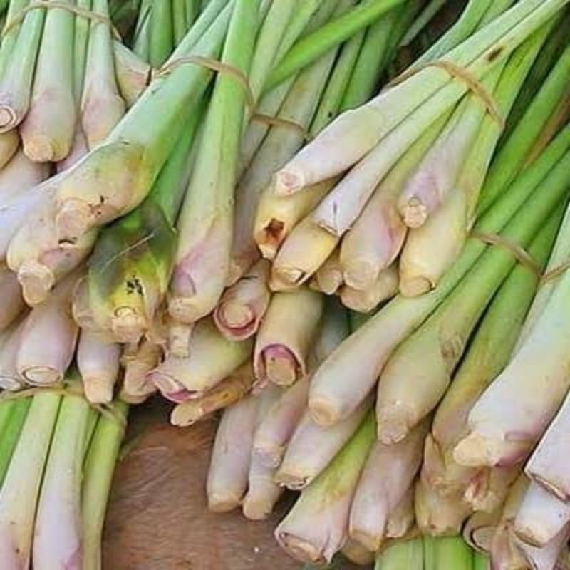 Jual batang serai 100g | Shopee Indonesia