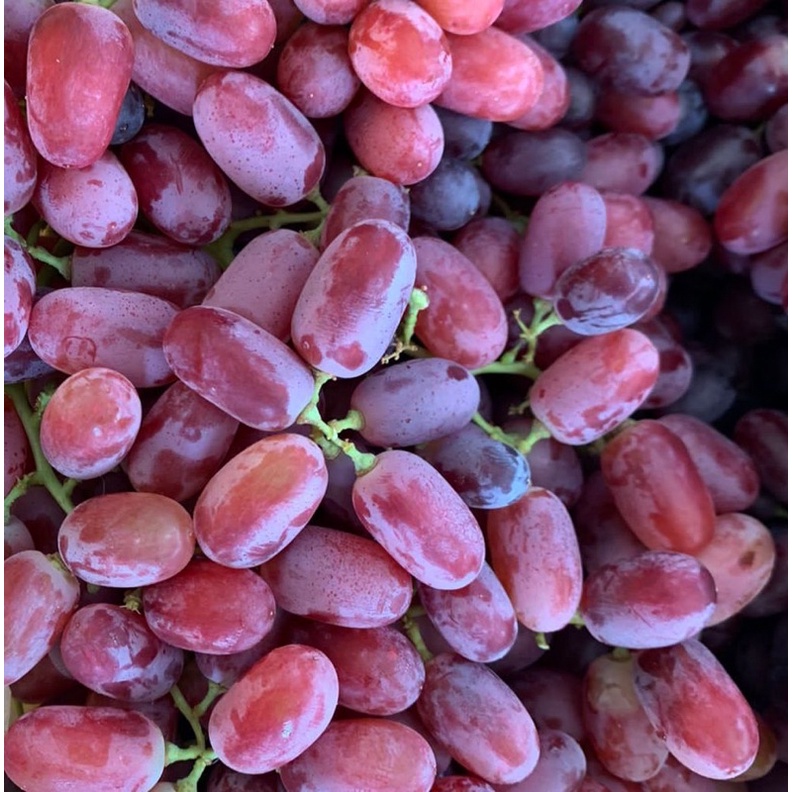 Jual Anggur Red Crimson seedless | Shopee Indonesia