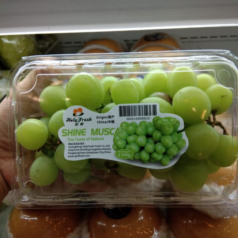 Jual Anggur Shine Muscat Pack +/- 500 Gr | Shopee Indonesia