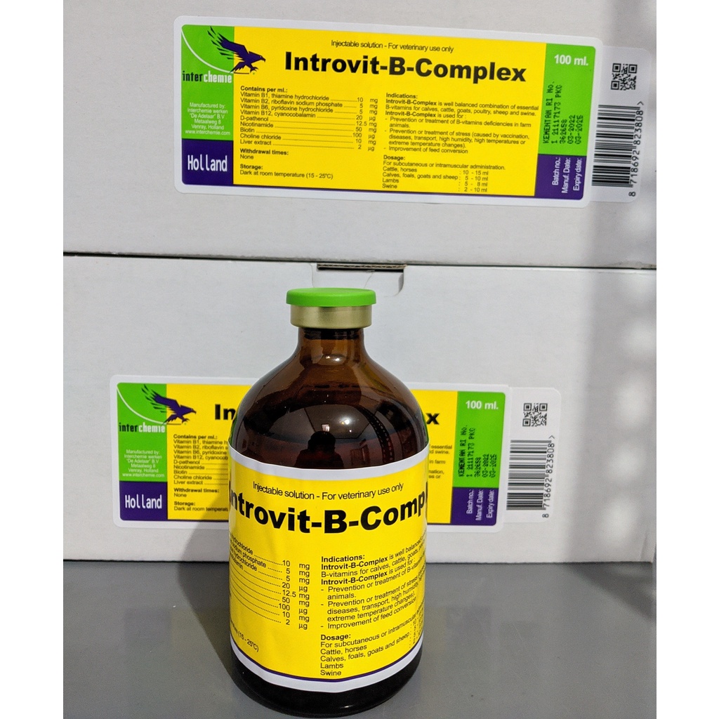 Harga Introvit-B-Complex Terbaru Apr 2025 | BigGo Indonesia