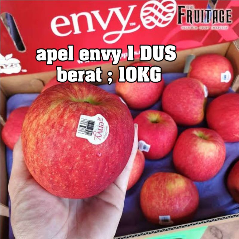 Jual buah apel envy 1 DUS : 10KG MANIS GARING RENYAH NOMOR 1 | Shopee ...