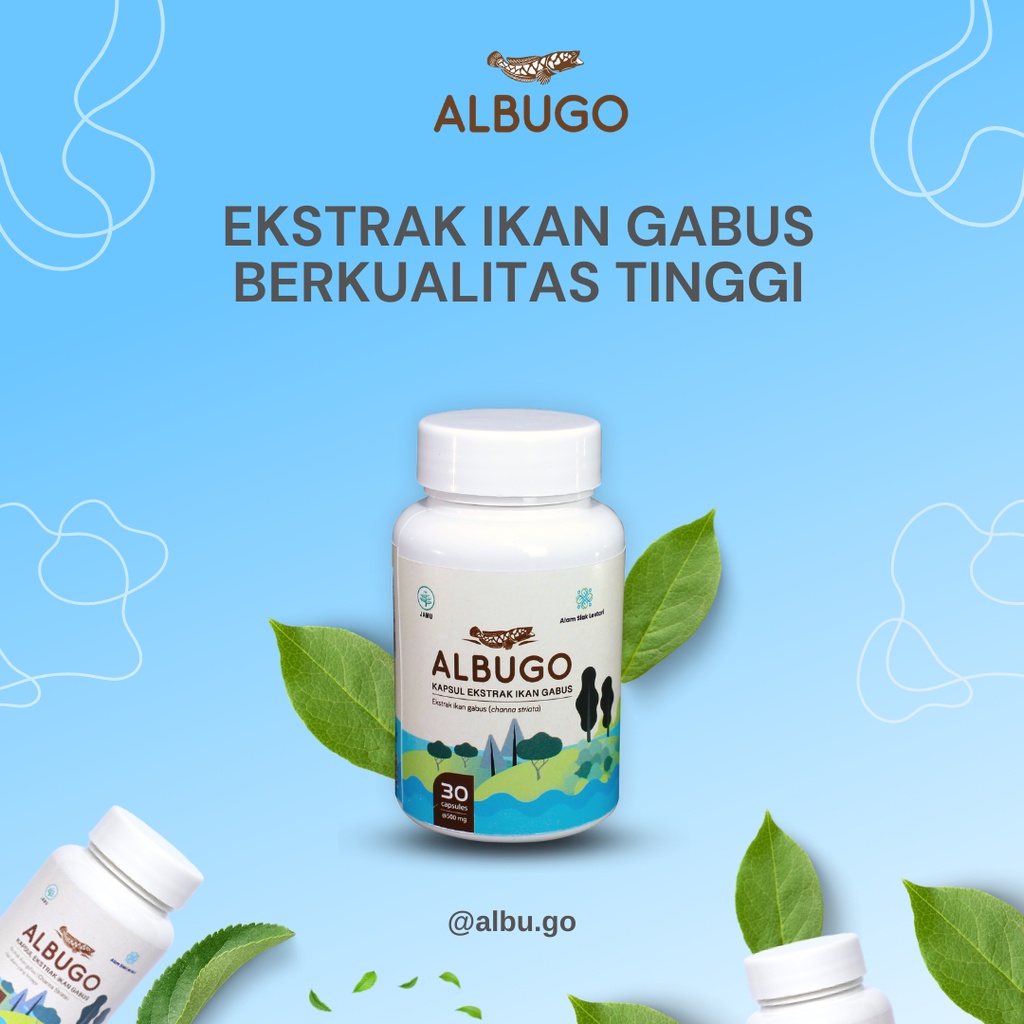 Jual Albugo - Pil Albumin Ekstrak Ikan Gabus 1 Botol isi 30 Kapsul ...