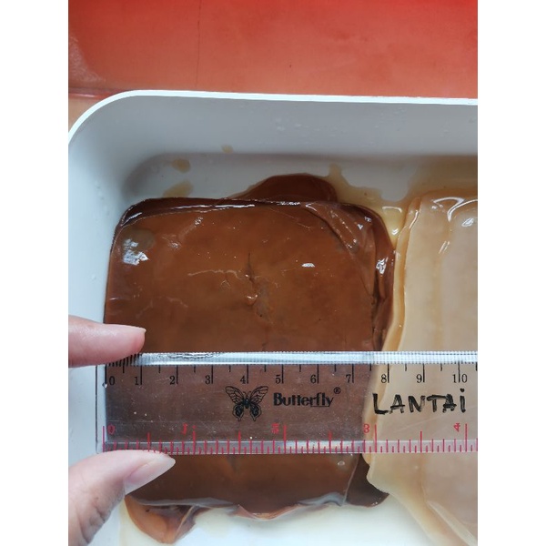 Jual Bibit Jamur Scoby Teh Kombucha | Shopee Indonesia