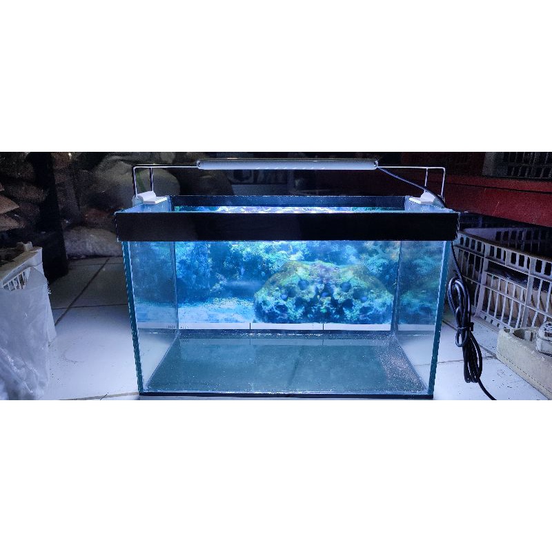 Jual Aquarium 30 cm | Shopee Indonesia