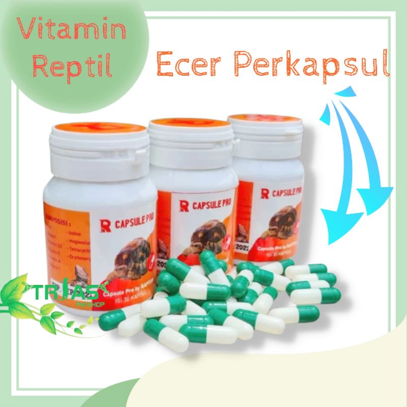 Jual CAPSULE PRO VITAMIN REPTIL/OBAT SAKIT REPTIL/VITAMIN KURA KURA ...