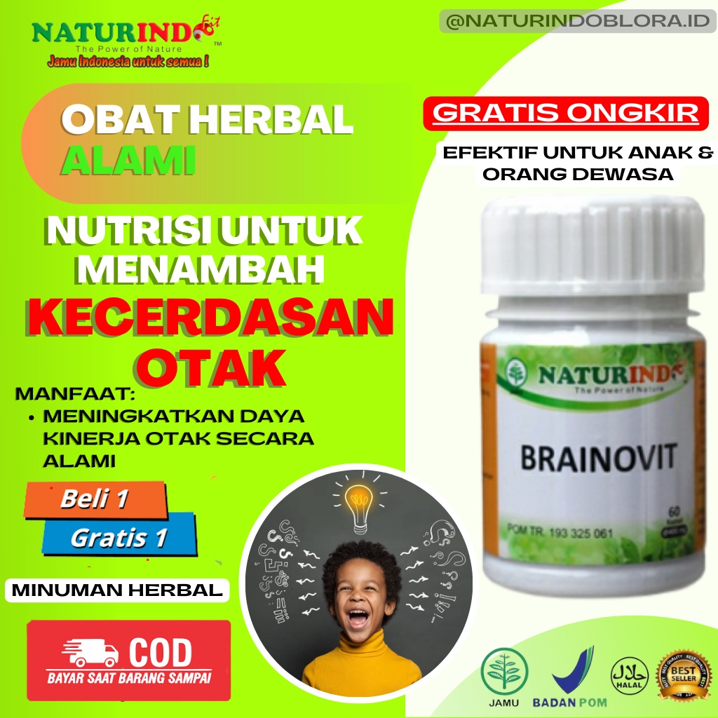 Jual Obat Herbal Vitamin Otak Nutrisi Otak Obat Herbal Meningkatkan ... Jual Obat Herbal Vitamin Otak Nutrisi Otak Obat Herbal Meningkatkan ...