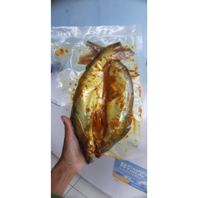 Jual Frozen Ikan Patin Bumbu 500g | Shopee Indonesia