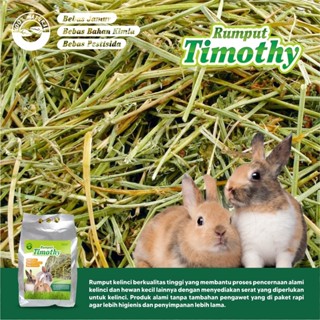 Jual Rumput Timothy kelinci 500 gram | Shopee Indonesia