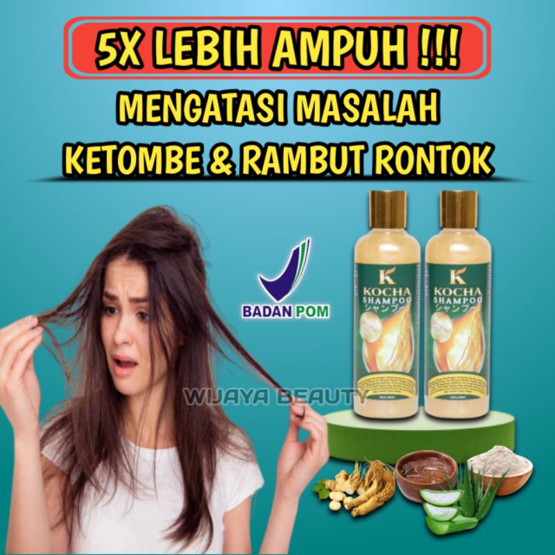 Jual Kocha Shampoo Herbal Alami Original Anti Ketombe dan Rontok Paling Ampuh Sampo Perawatan ...