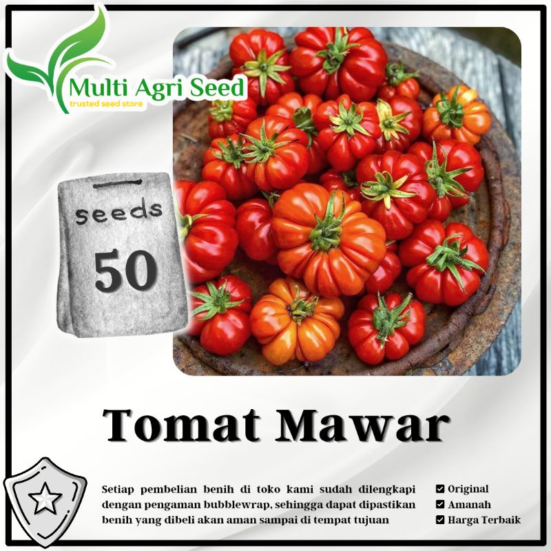 Jual 50 Biji Benih Tomat Mawar Bibit Sayuran Tomat | Shopee Indonesia