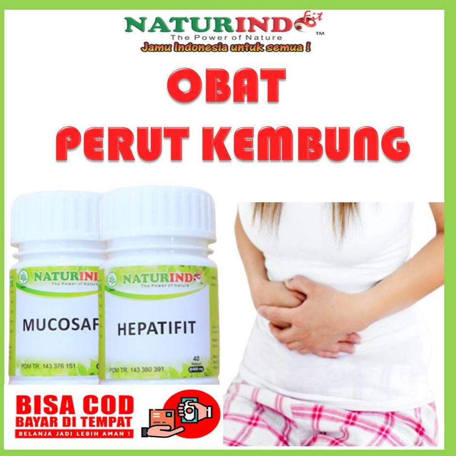 Jual Obat Perut Kembung Susah Kentut Perut Begah Perut Mual Perut Enek ...