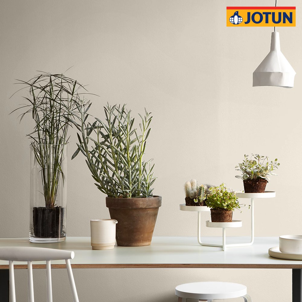 Jual CAT TEMBOK INTERIOR JOTUN - WASHED LINEN/10679 | Shopee Indonesia