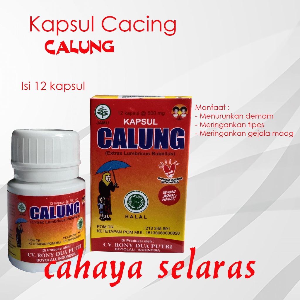 Jual KAPSUL CACING CALUNG ISI 12 KAPSUL | OBAT TIPES | Shopee Indonesia