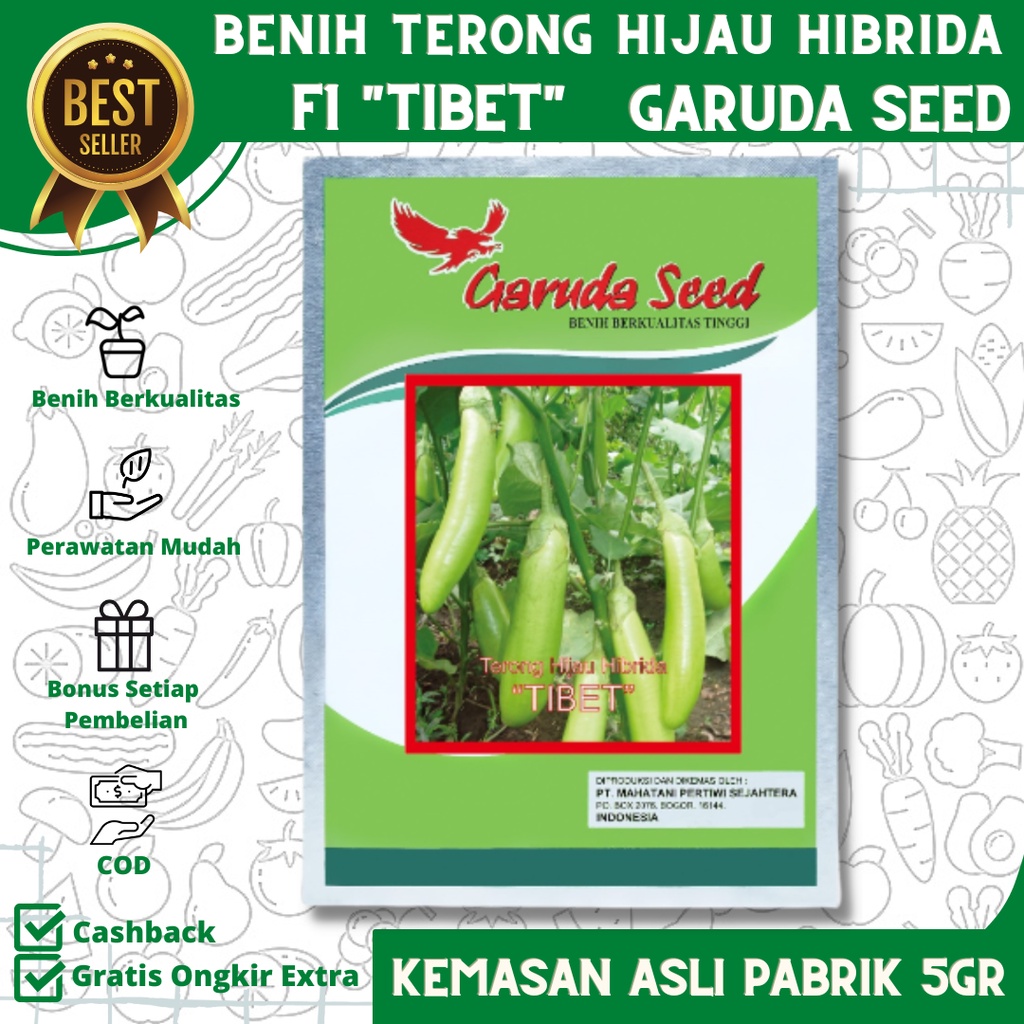 Jual Benih Bibit Terong Hijau Hibrida F1 TIBET Garuda Seed Kemasan ...