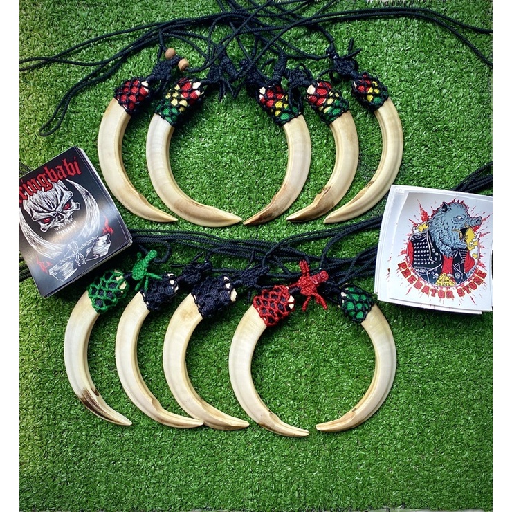 Jual KALUNG ETNIK TARING BABI ORIGINAL 11cm | Shopee Indonesia