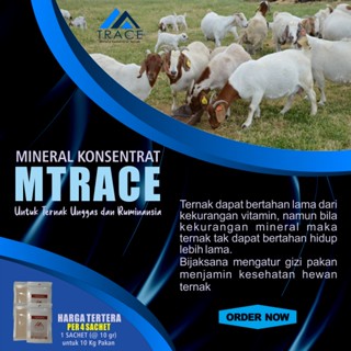 Jual Mineral Perawatan Hewan MTrace untuk Ternak Unggas dan Ruminansia / Mineral untuk Kambing ...